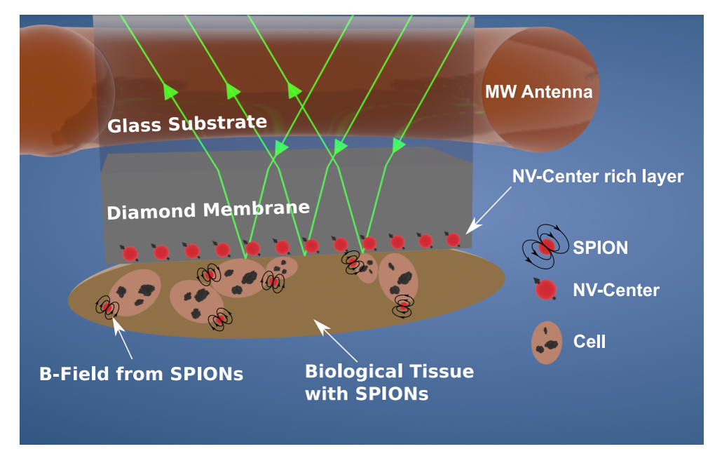 Quantum Measurement and Control - for the Enablement of Quantum ...